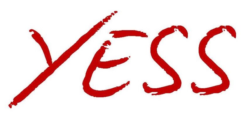 YESS Project provides access to Accredited Skills Training